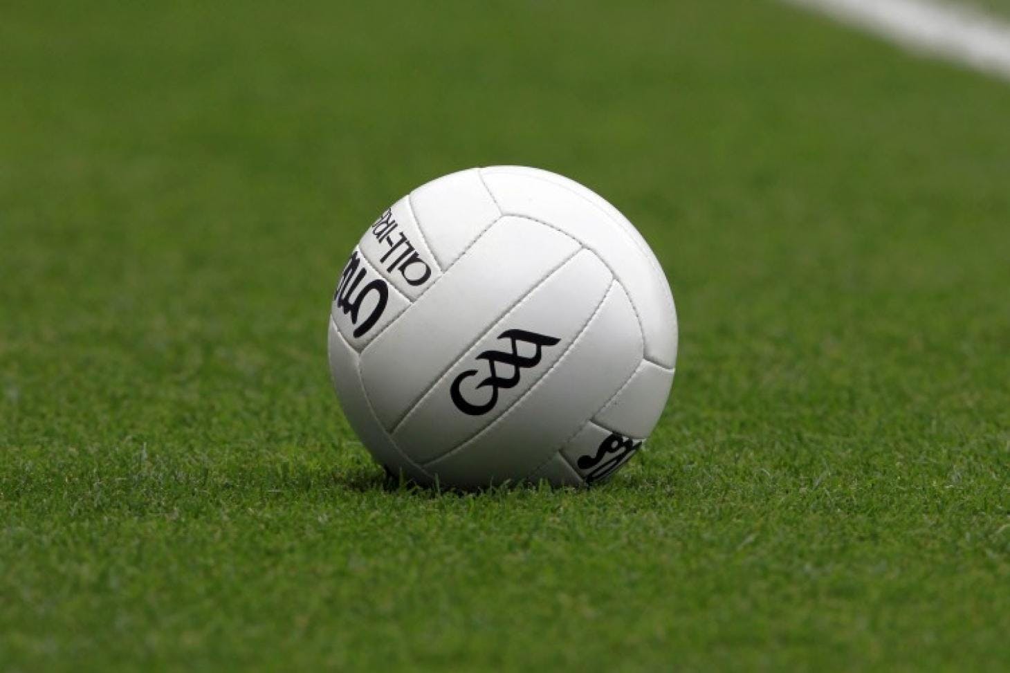 Raheny GAA Club, Co. Dublin | GAA Pitches | Playfinder